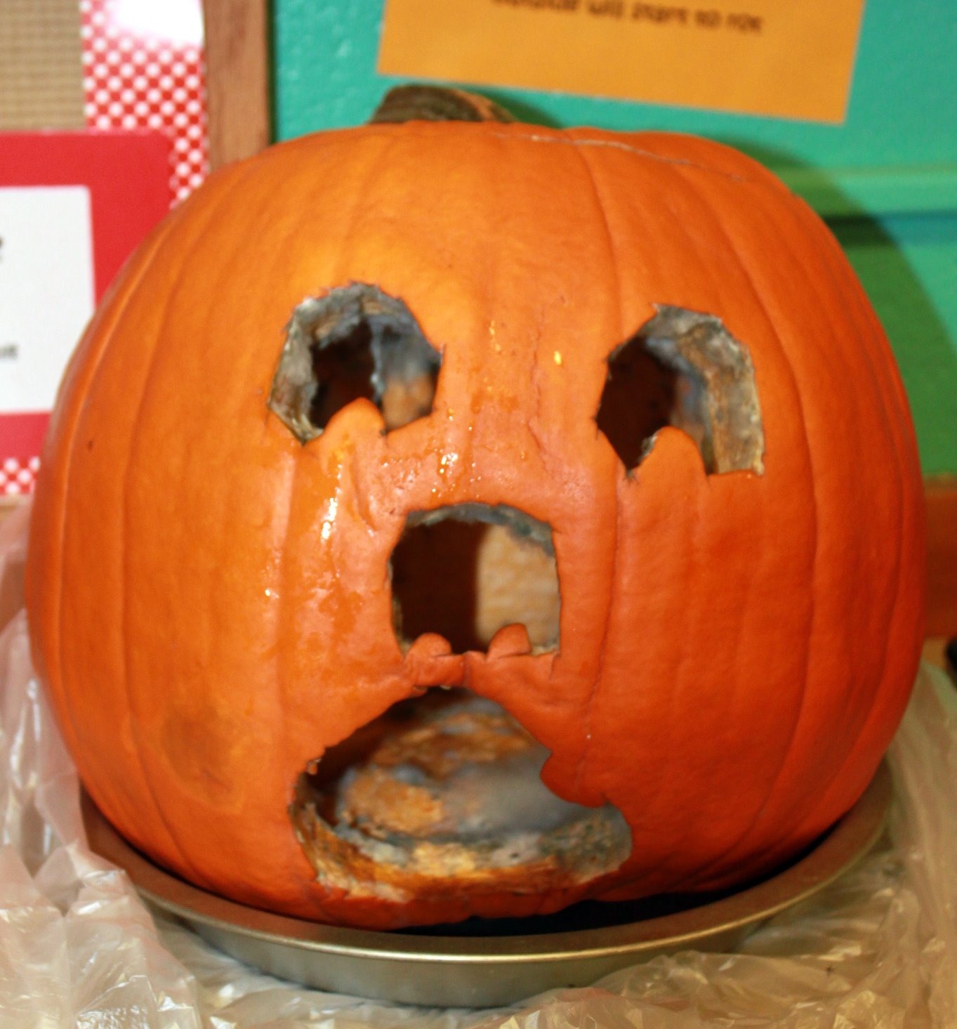 Cove Kindergarten: Pumpkin - Week 2