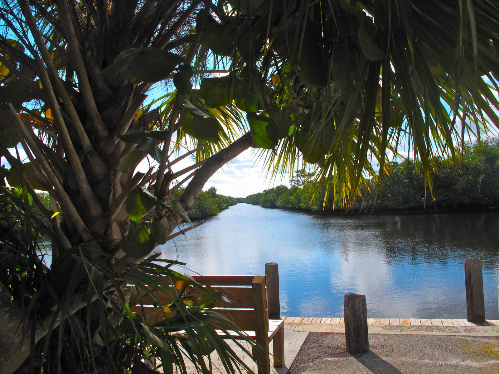 Astral Nomads: Collier-Seminole State Park - Part 2