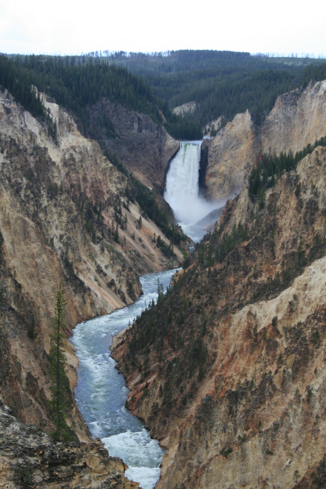 Southern Belle's Adventures: Yellowstone and Grand Tetons July 10-11