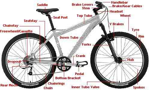 TRANCYC -Transmarga Cycling Club: bicycle anatomy