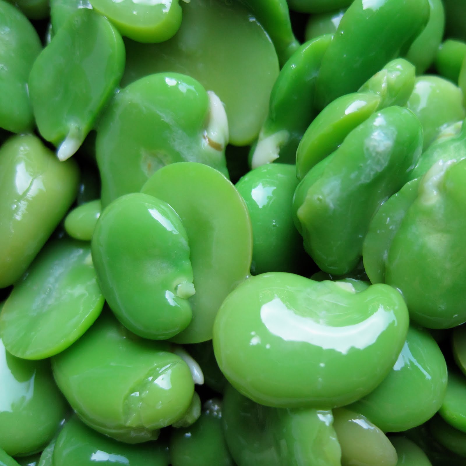Getting Your Share: How to Shell Fava Beans ... (and what to do with ...