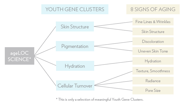 PLΛNΣT CôSMΣTICS: ageLOC™ by NU SKIN®