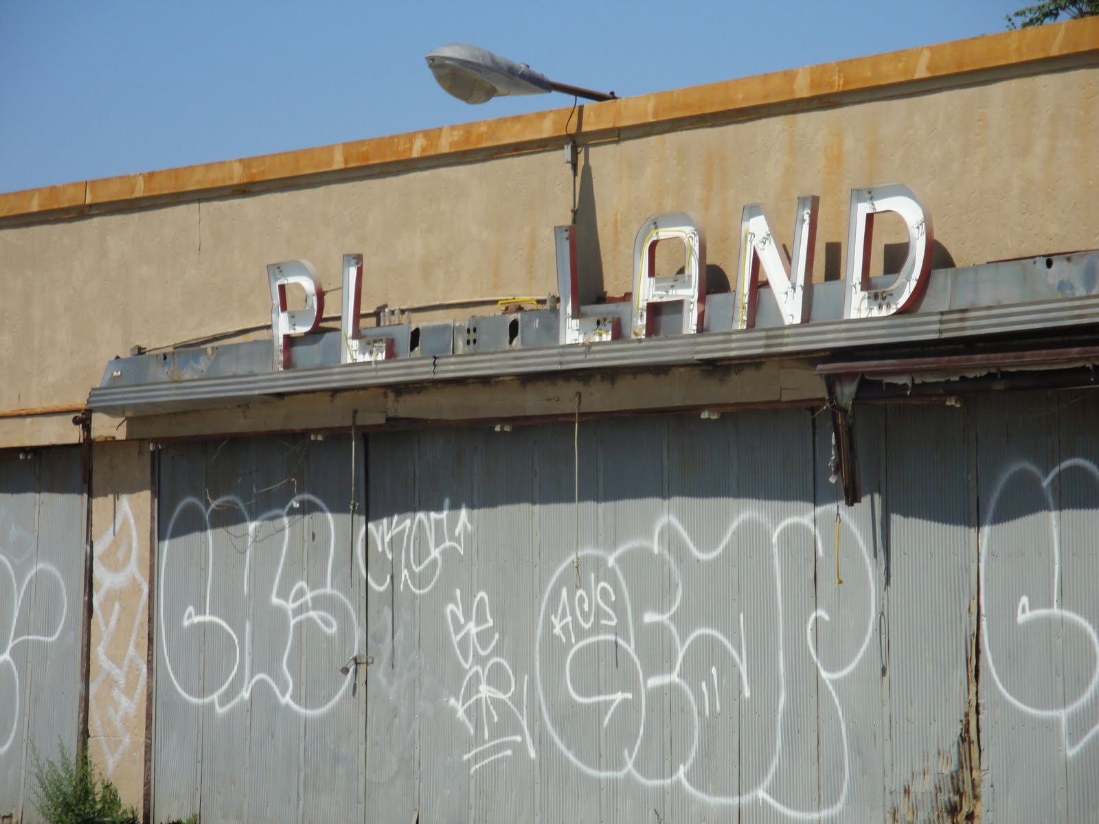 TT n Sheldy: Corny Coney