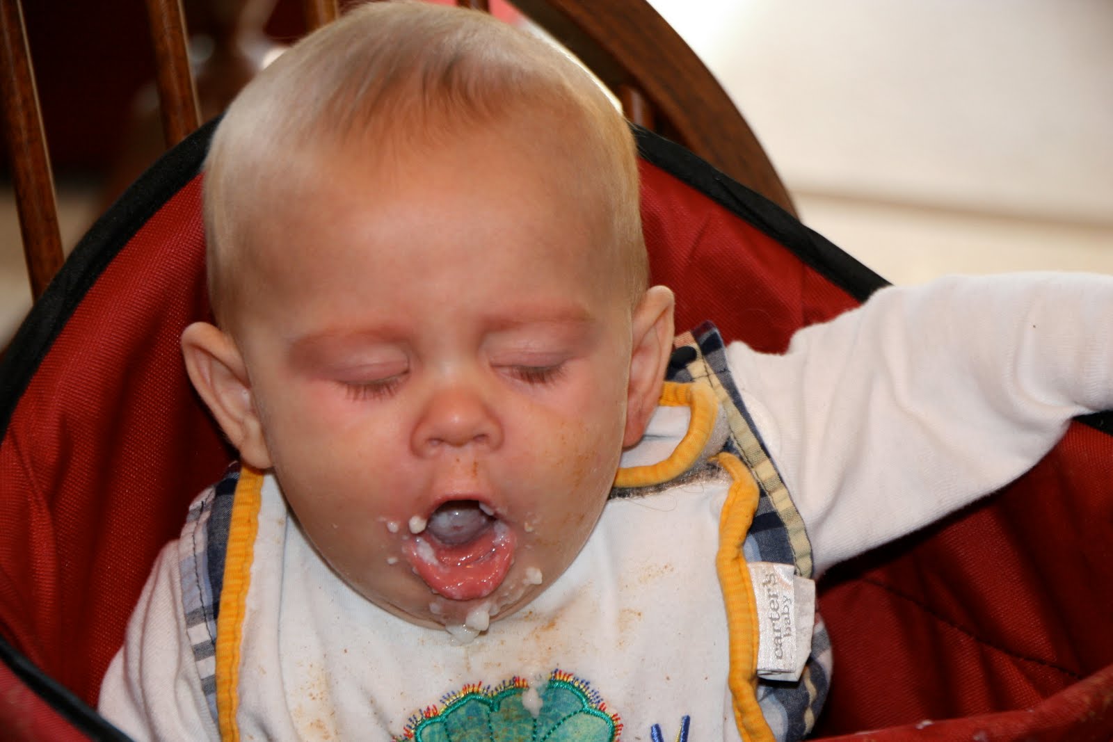 Boy Mommy: Overcooked Chicken and Undergarments