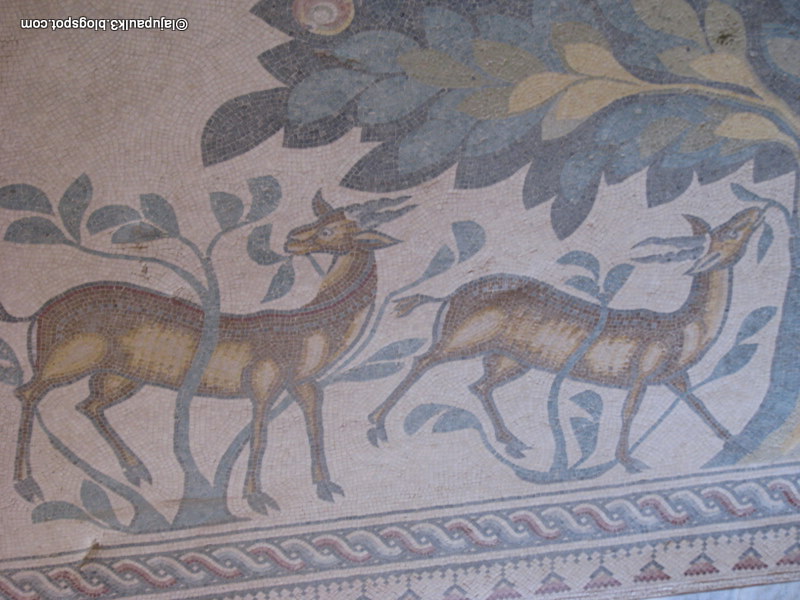 THROUGH THE LAND OF ISRAEL III: The Famous "Lion-Gazelle Mosaic" of ...