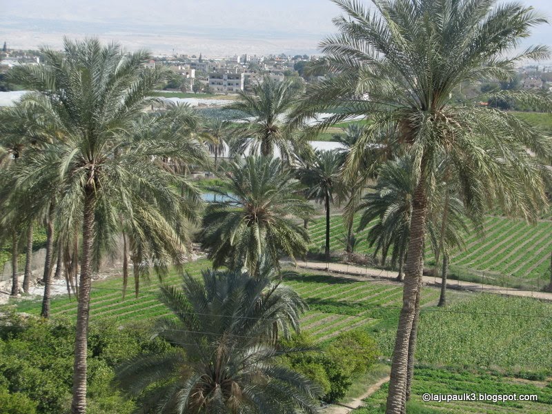 THROUGH THE LAND OF ISRAEL III: Ein es-Sultan or Elisha's Spring ...