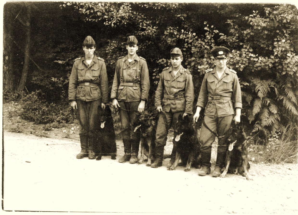 LSK / LV: Aus der Geschichte der 43. FRBr ( Folge 14 )