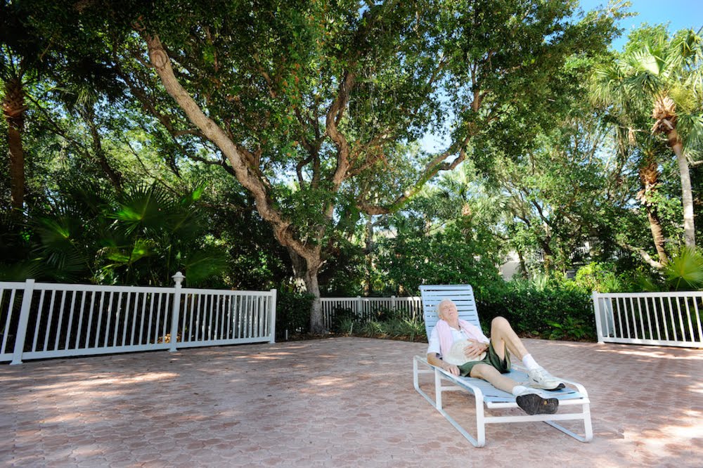 through-the-lens: David Newsom