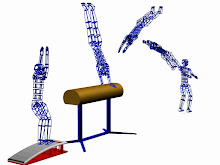 How to do Gymnastics: Introduction To Webste