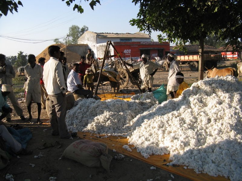 Forrest Fleischman's blog: Fieldwork