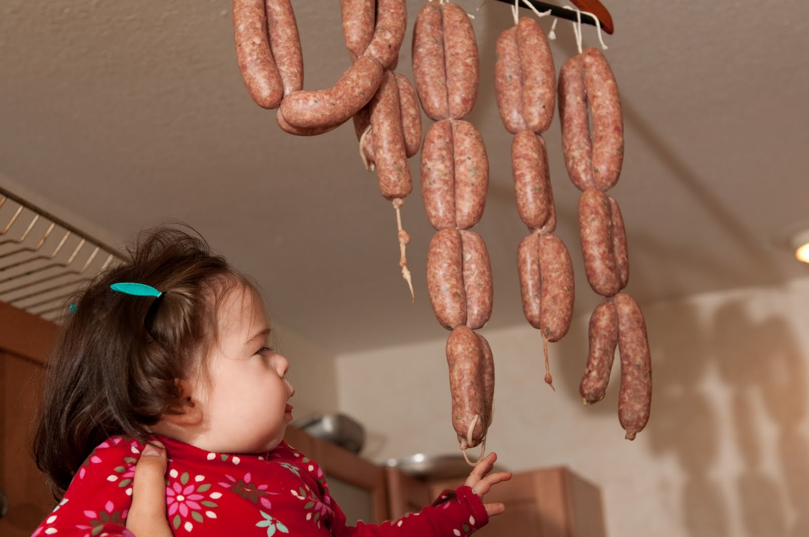 Gristle Man: Hog Butchery 101