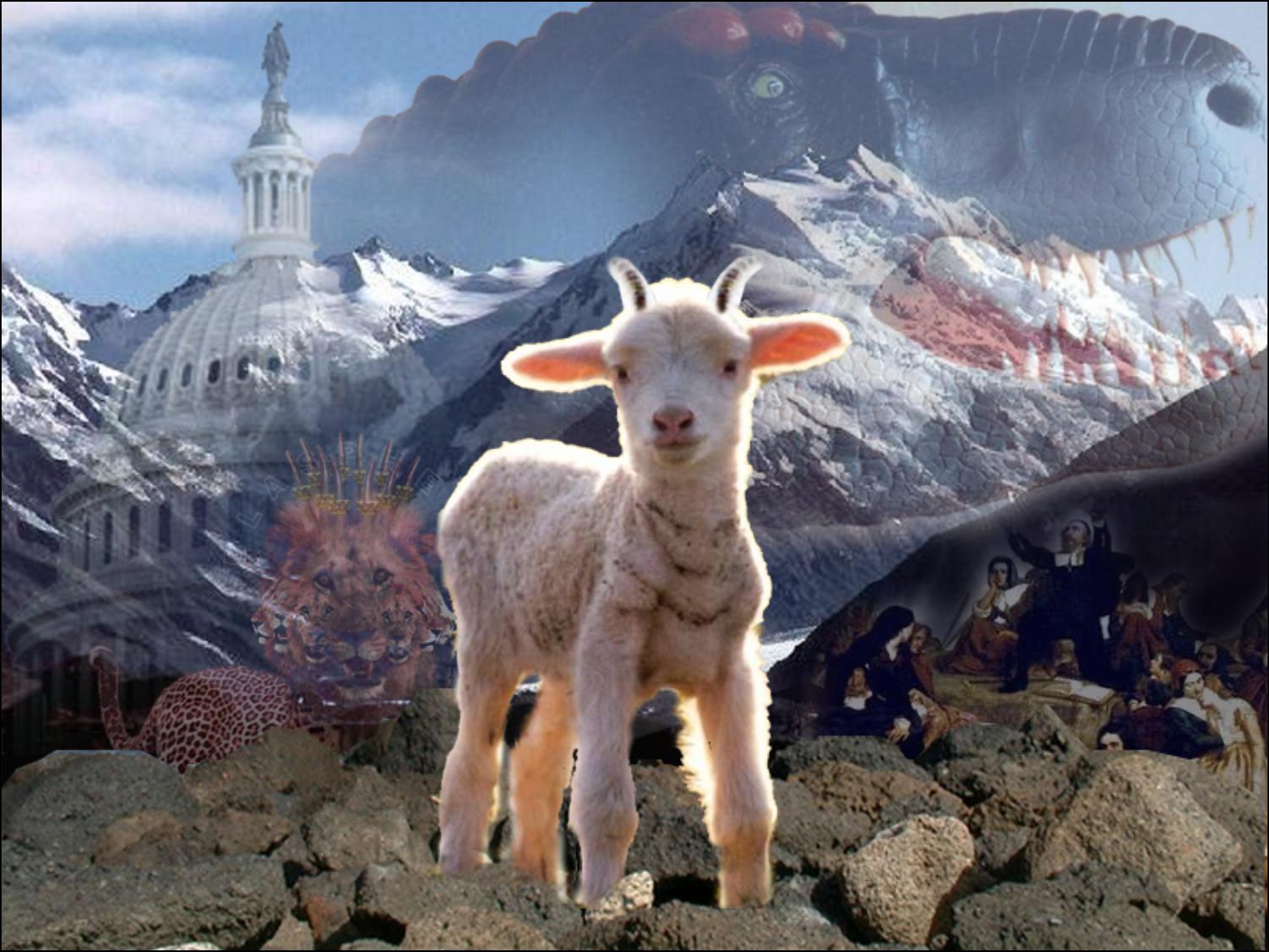 The Last Crisis: Signs of the Image to the Beast