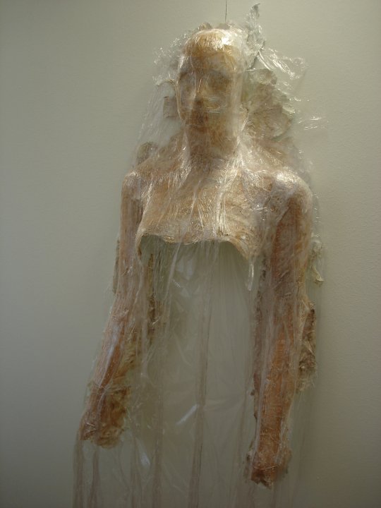 Sheelagh M Dornan: Amanda Rae