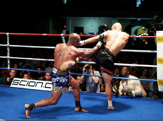 CROM Martial Training: CHRIS ROMULO: WKA PROFESSIONAL SUPER ...