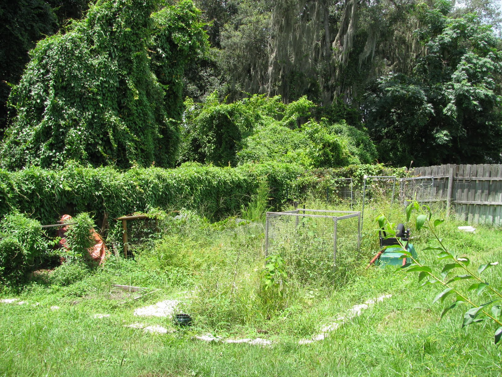 Crystabel's Garden: Wanna see something really scary??