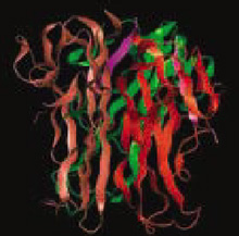 Oncology Professional Rebels Network: Rank Ligand - Key mediator in ...