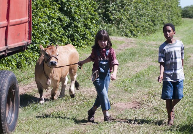 "Morde e Assopra": Após mini-vaquinha , nova novela vai ter papagaio ...