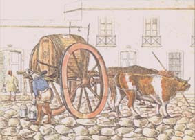 YO EN SALA DE 5: PREGONES DEL AGUATERO