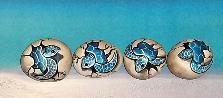 ANCIENT GRAFFITI: Hatching Sea Turtles