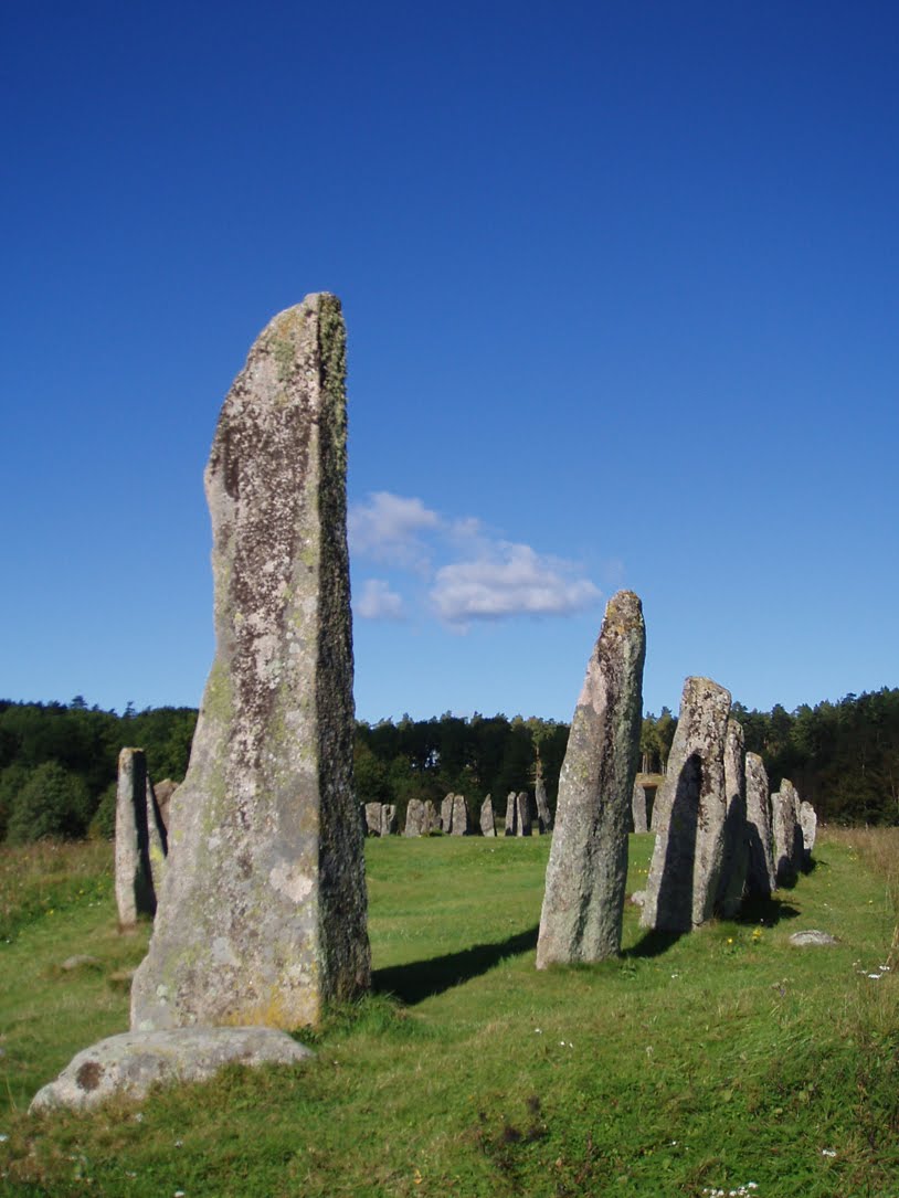 Vilt og vakkert: Fornminner fra Blomsholm
