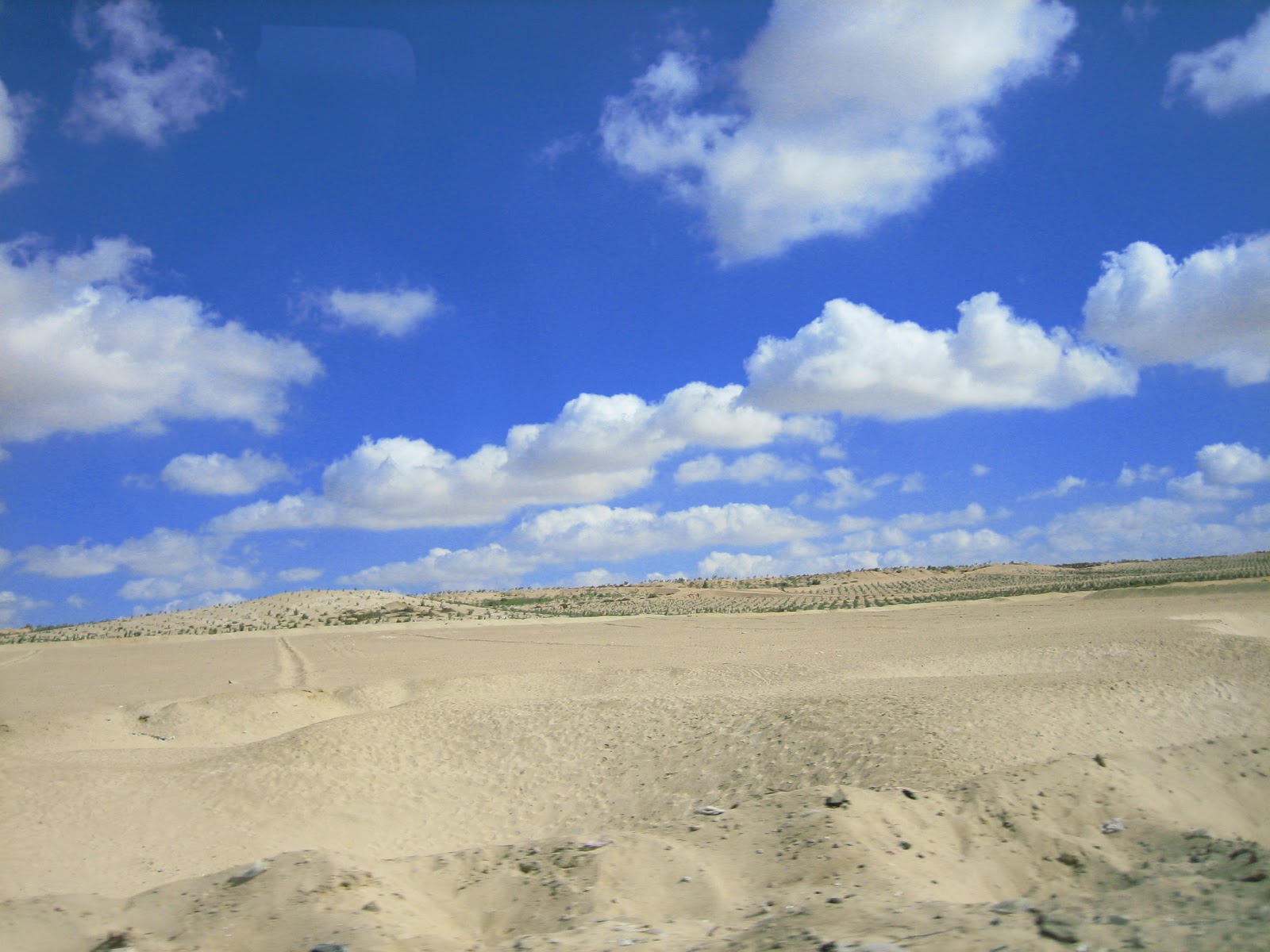 UniShow World: Sandy Land