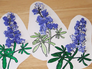 Waltzing Matilda: Bluebonnets!