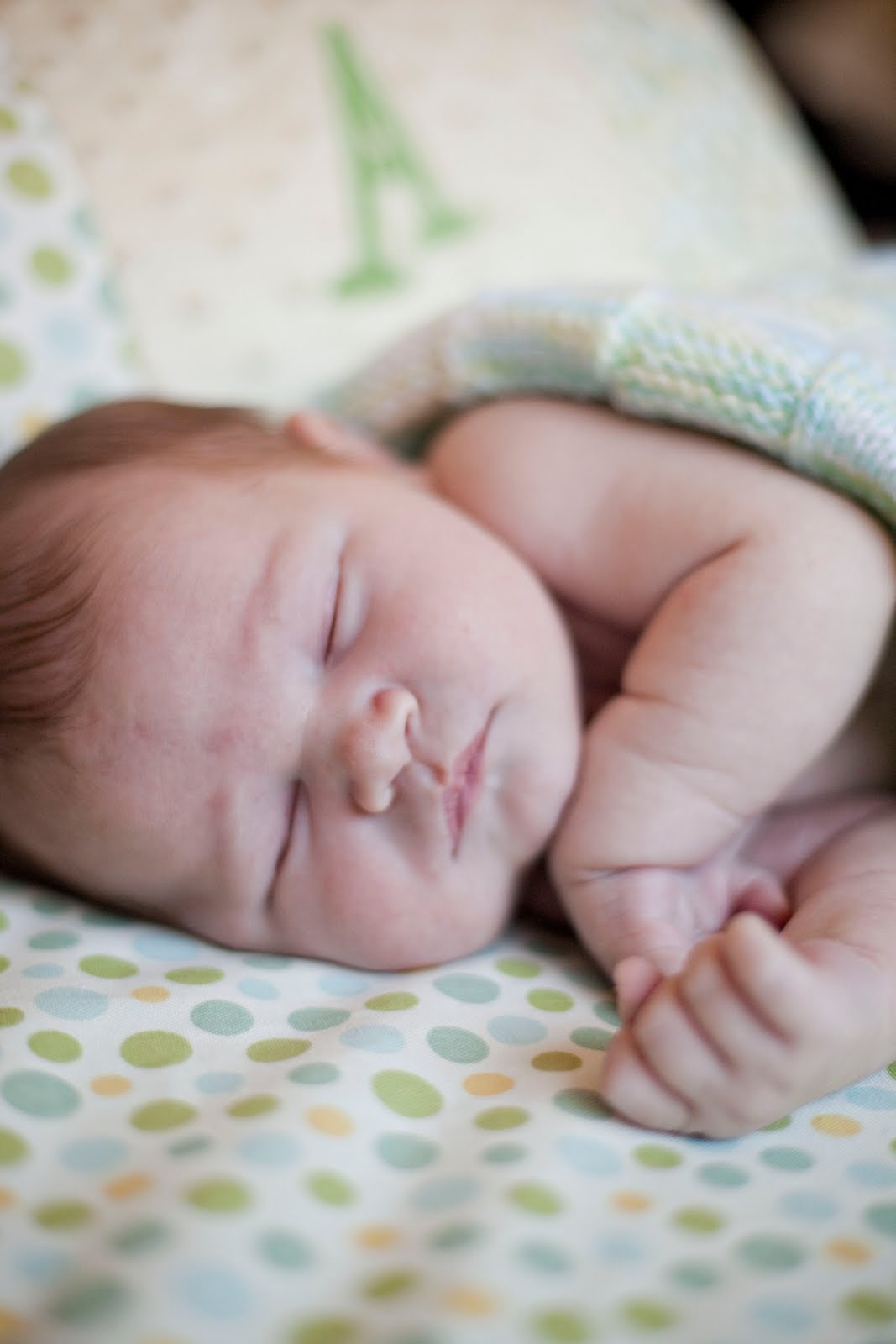 alison donahue photography: 10 day old baby boy