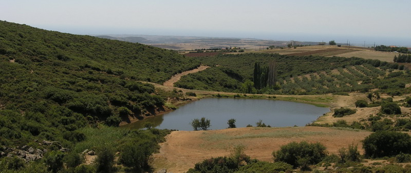 ΤΑΞΙΔΙΑ ΜΕ ΕΝΑΝ ΕΥΡΥΓΩΝΙΟ: ΧΑΛΚΙΔΙΚΗ