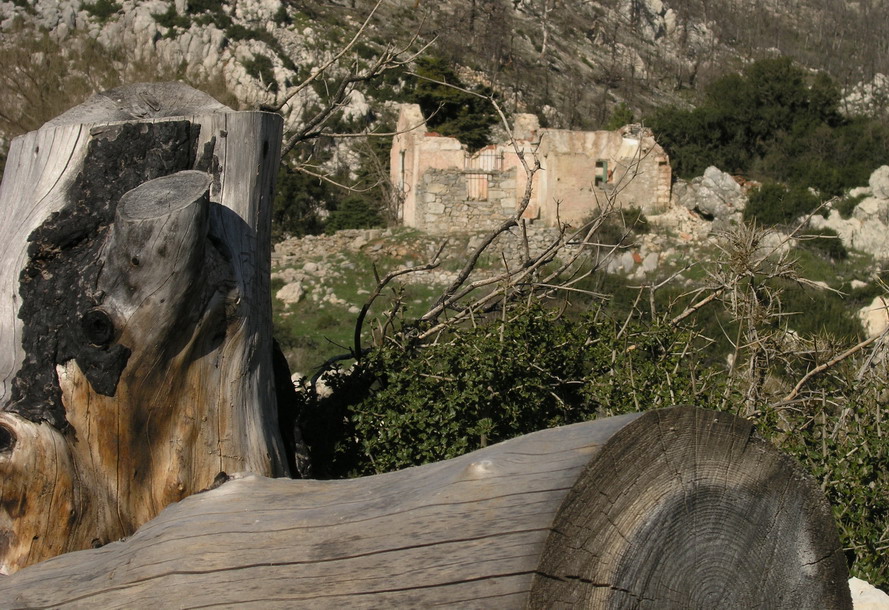 ΤΑΞΙΔΙΑ ΜΕ ΕΝΑΝ ΕΥΡΥΓΩΝΙΟ: ΠΑΡΝΗΘΑ: ΠΕΡΙΗΓΗΣΗ ΣΤΙΣ ΑΣΦΑΛΤΙΝΕΣ ΔΙΑΔΡΟΜΕΣ
