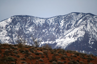 Reb's photos: Pioneer Park, Saint George!