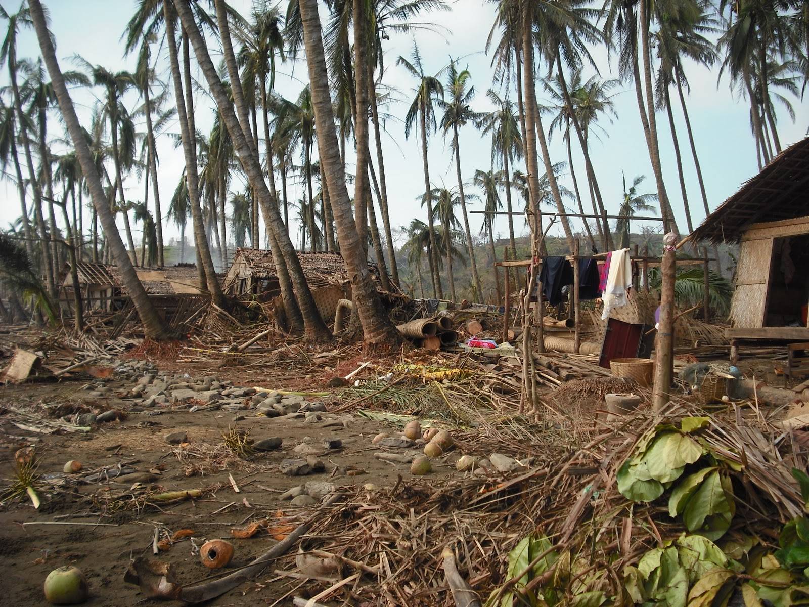 Let's Help the Victims in Arakan