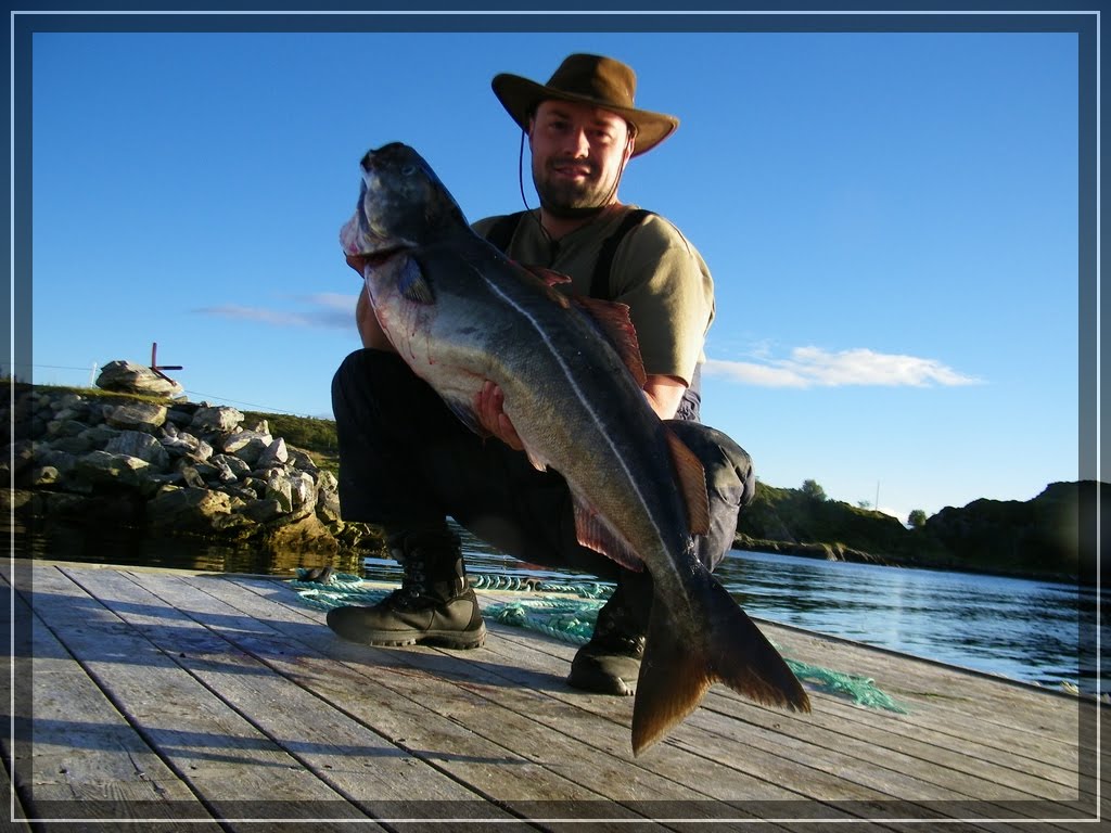 Insel Hitra Norwegen 2010: 7.Tag