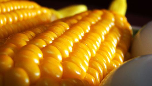 Alimento Peruano: Tipos de Maiz