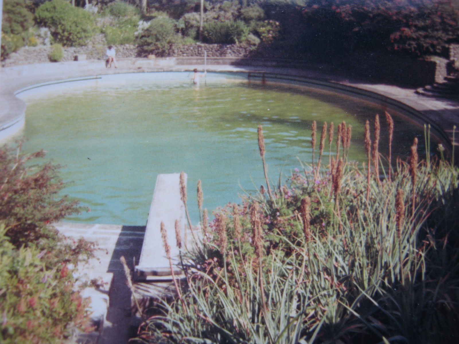 Lord Belmont in Northern Ireland: Mount Stewart Pool