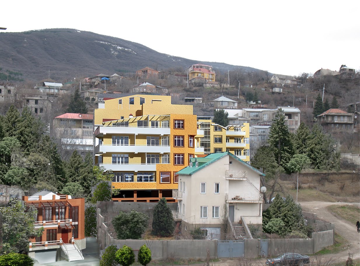 portfolio: mravalsatuliani saxli