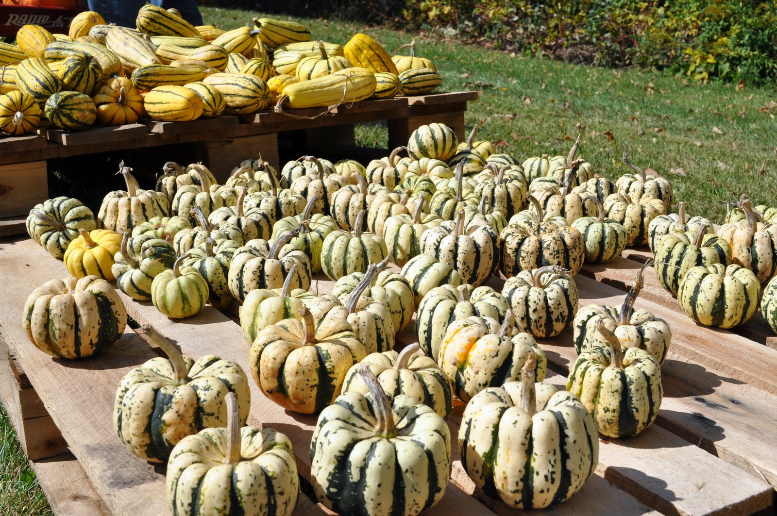 New England Photos: September 2010