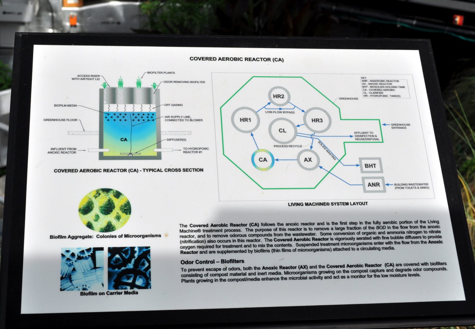 New England Photos: Living Machine Green Waste Management