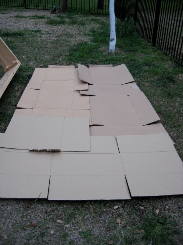 I can totally make that: DIY: Raised vegetable garden bed