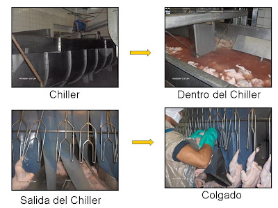 Procesadora Industrial de Pollos: Proceso3 =>Empaque
