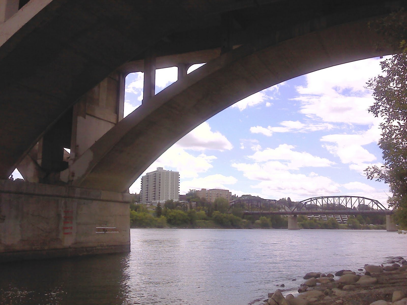 Discovery - One Man's Struggle with Life, Liberty and the Pursuit of ...