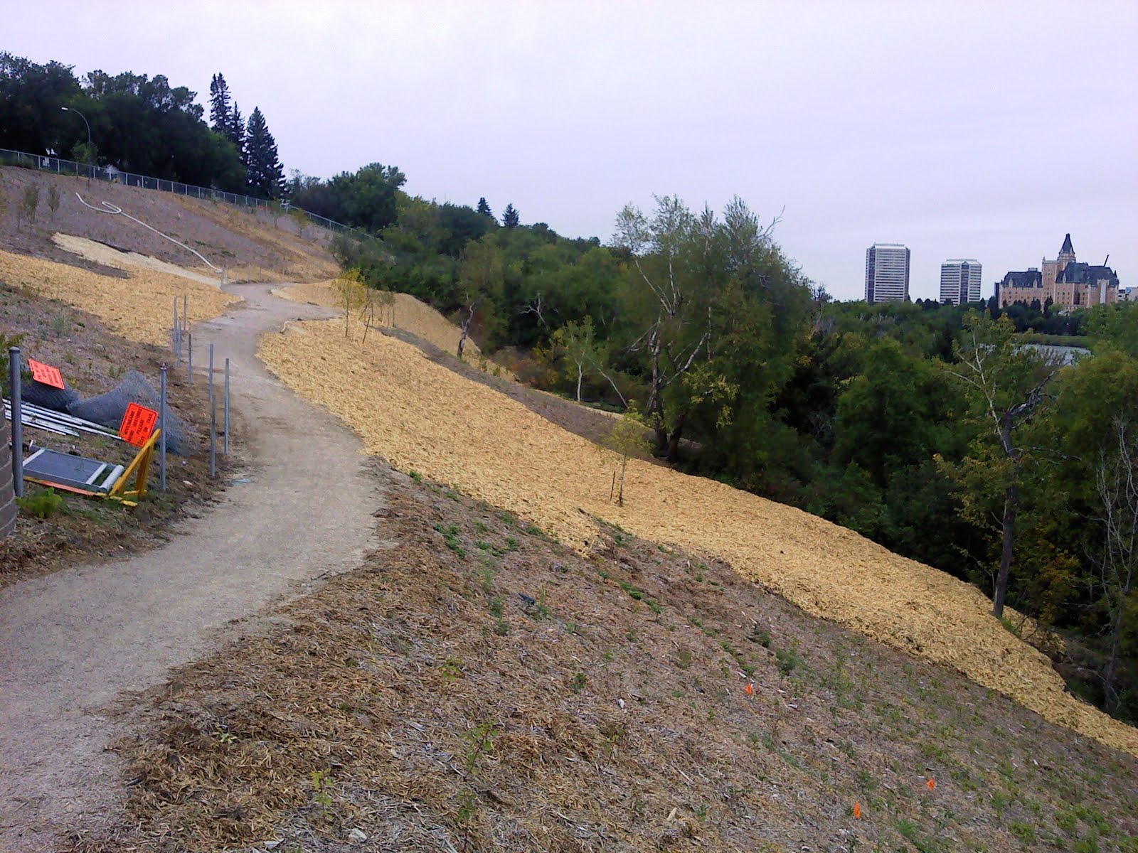 Discovery - One Man's Struggle with Life, Liberty and the Pursuit of ...