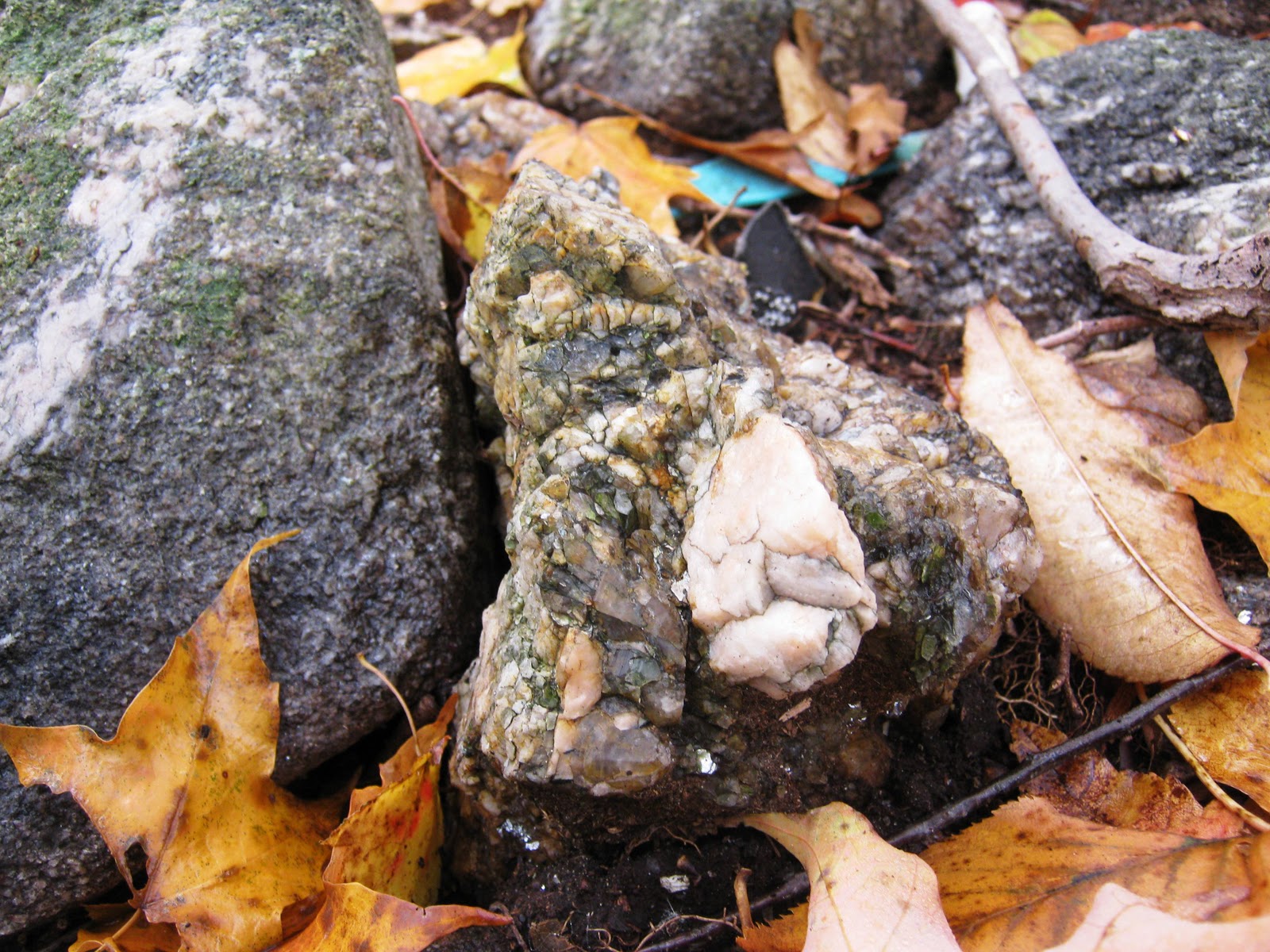 Waking Up on Turtle Island: xenolith/xenocryst