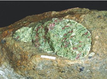 Waking Up on Turtle Island: xenolith/xenocryst