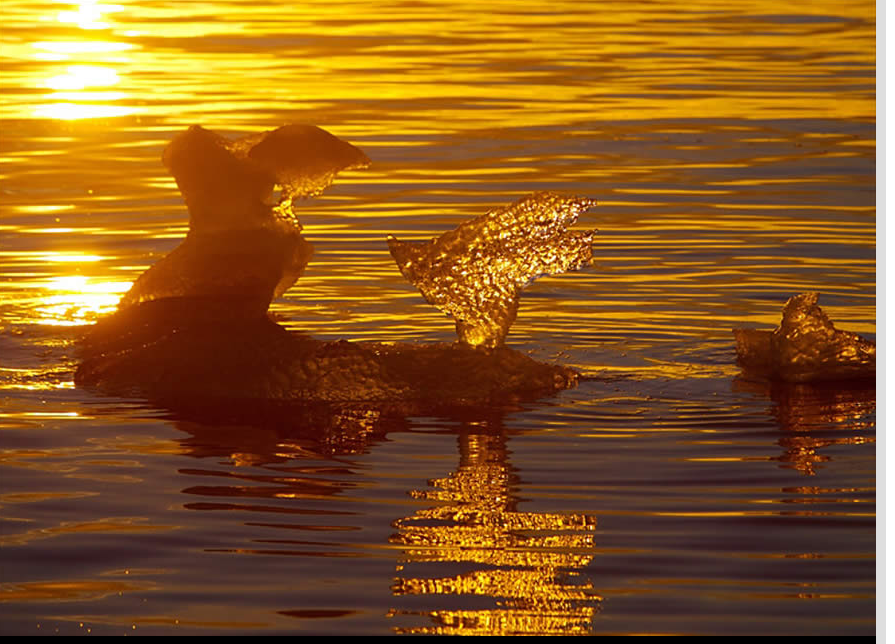 Ness Photography: Research Colin Prior