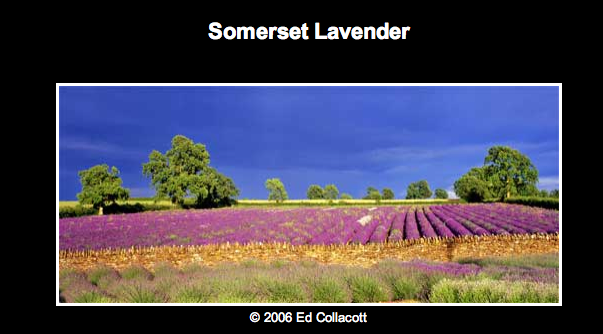 Ness Photography: Research - Ed Collacott