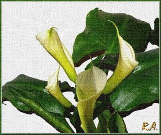 Escondida...en mi interior...: Leyenda de Nicté-Ha, la flor acuática.