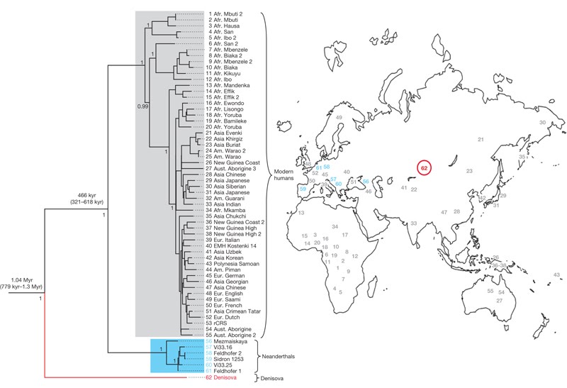 race/history/evolution notes: Highly divergent ancient hominin mtDNA ...
