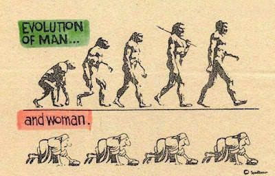 Funny Evolution