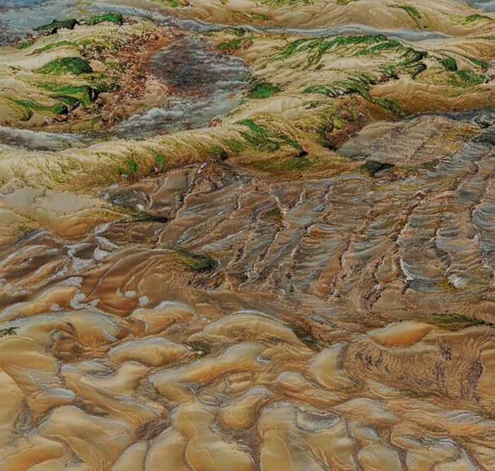 photos: Hyper-Realistic Embroidery by Jill Draper