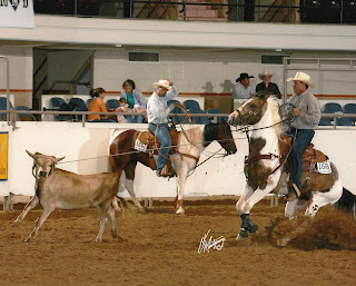 Double R Ranch Horses